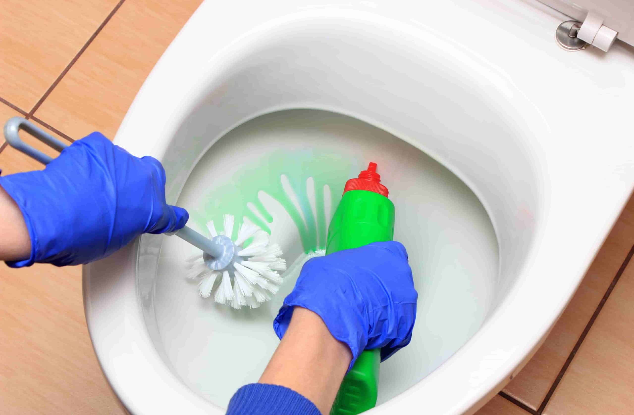 How To Clean a Toilet? | Maid Service in Baton Rouge